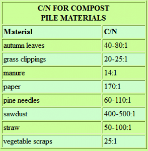 Compost- Nourishing Your Garden Soil