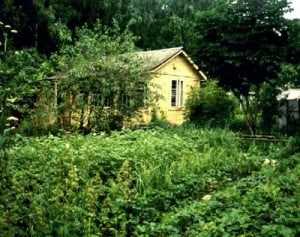 Russian Dacha Gardening - Homescale Agriculture Feeds Everyone